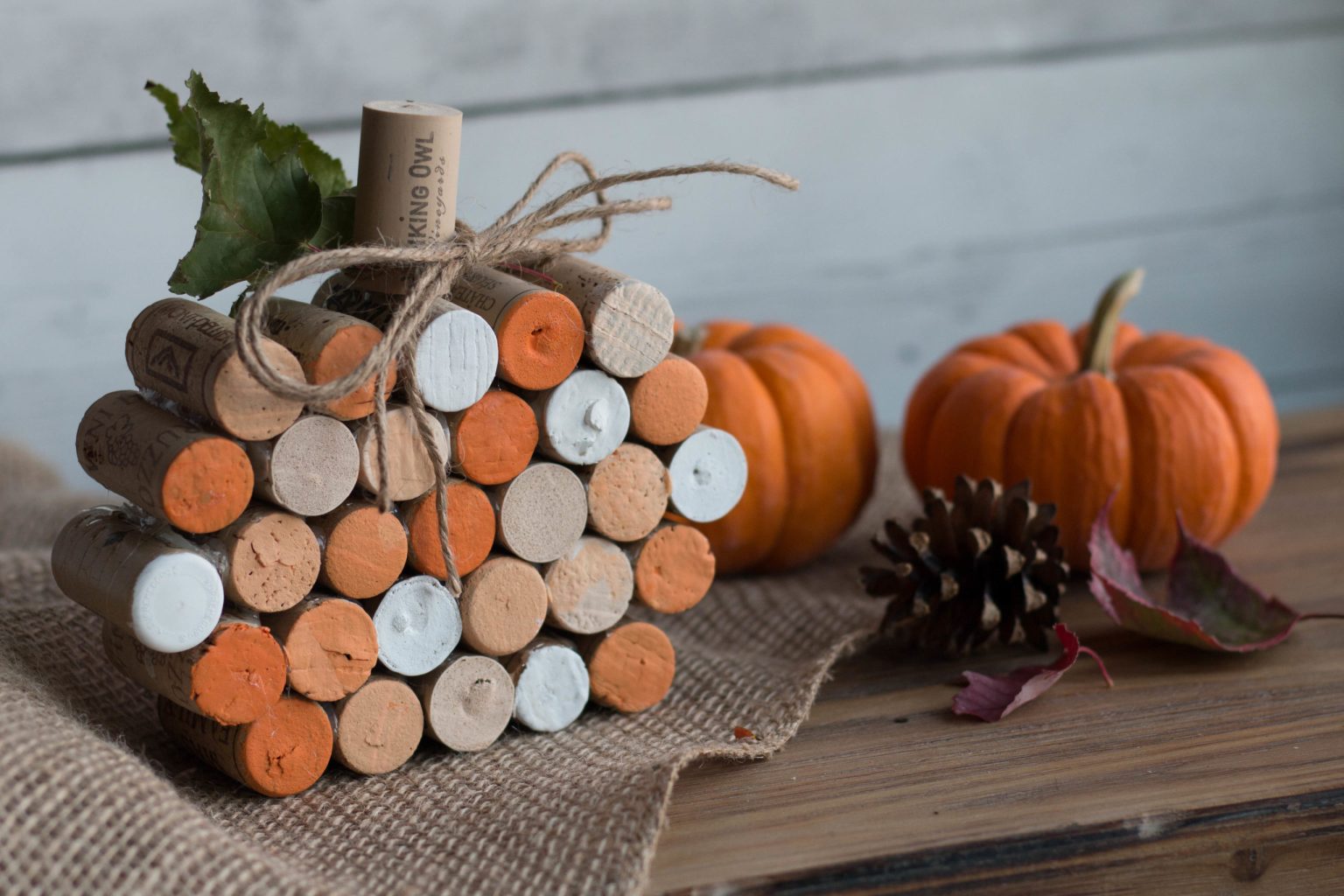 8 Creative Decor Ideas: How to Recycle Materials and Craft Fall Decor ...
